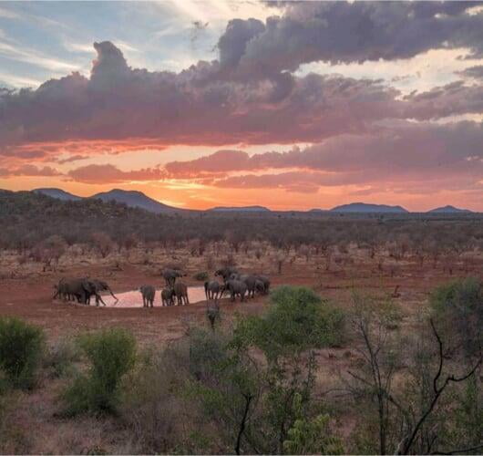 Featured Property: Etali Safari Lodge | Tourism that Cares